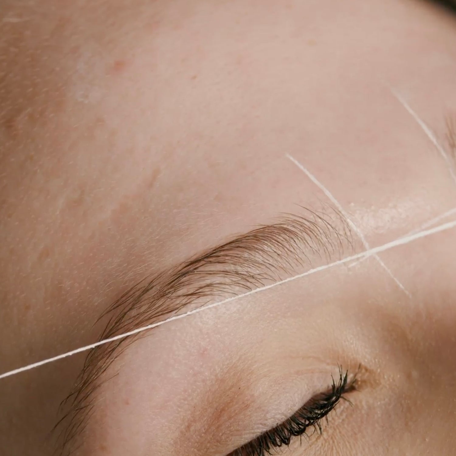 Mrs.Highbrow Dyotics Mapping Thread Wit