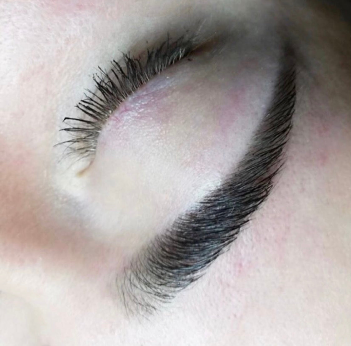 Brow Henna Master Kit | Mrs.Highbrow Professional